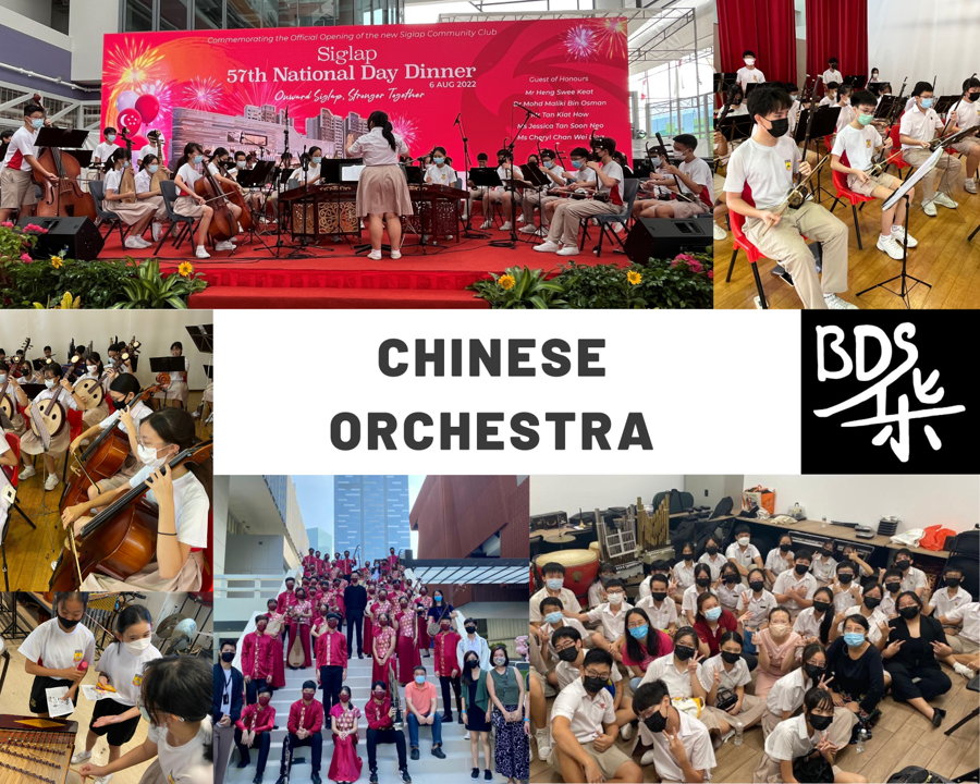 Chinese Orchestra